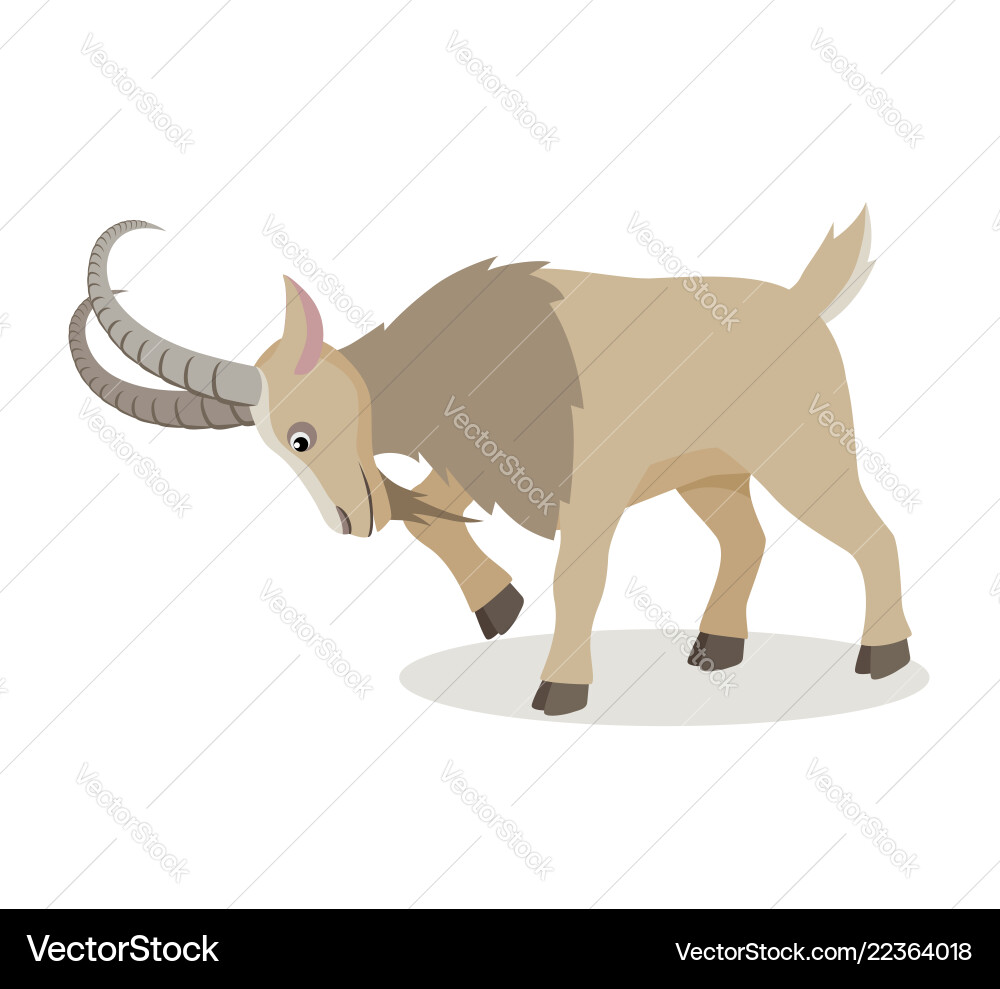 Cartoon goat in different poses in flat style Vector Image