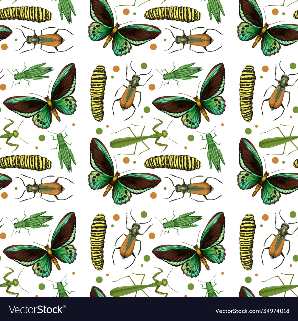 Different insects seamless pattern white Vector Image