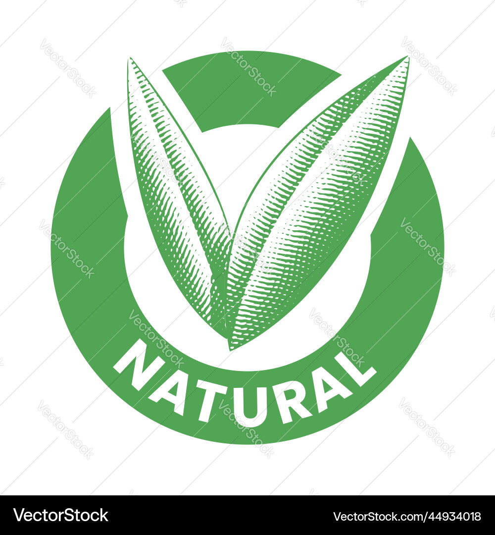Natural round icon with engraved green leaves Vector Image