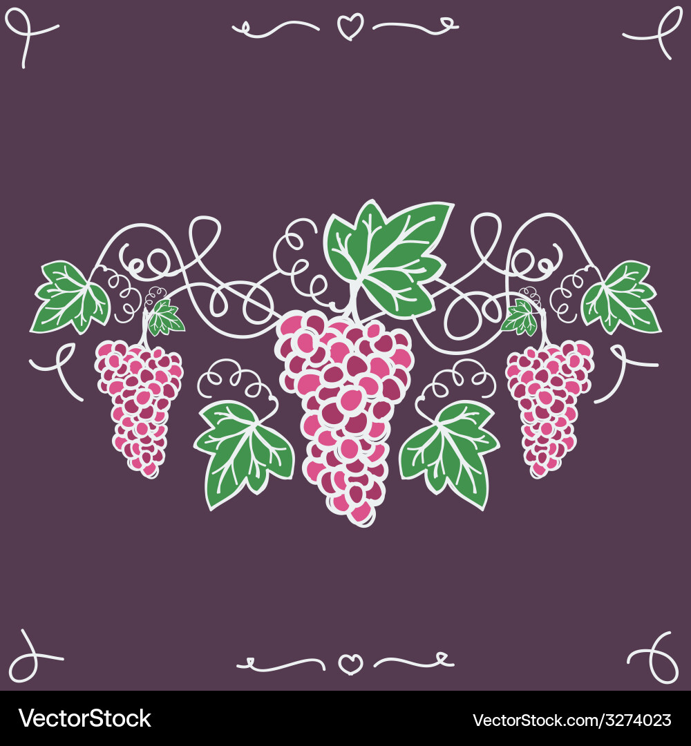 Hand-drawn decorative ripe grapes on the vine Vector Image