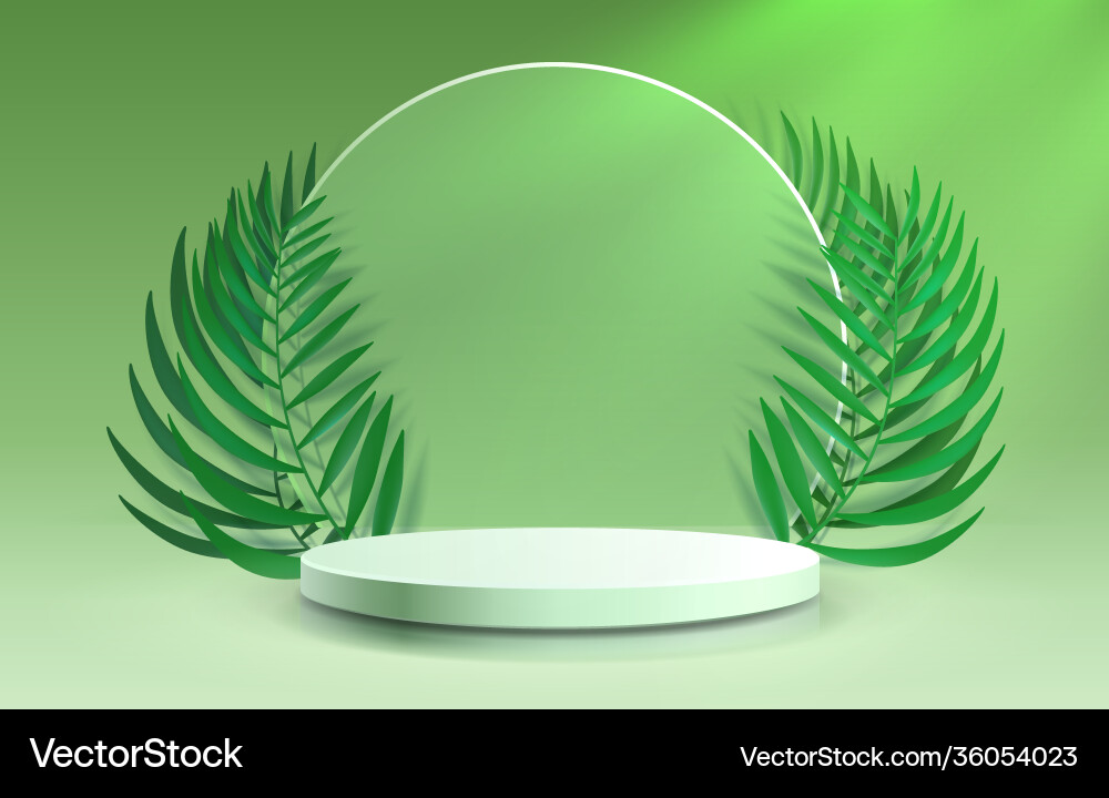 Nature stage podium with lighting stage podium Vector Image
