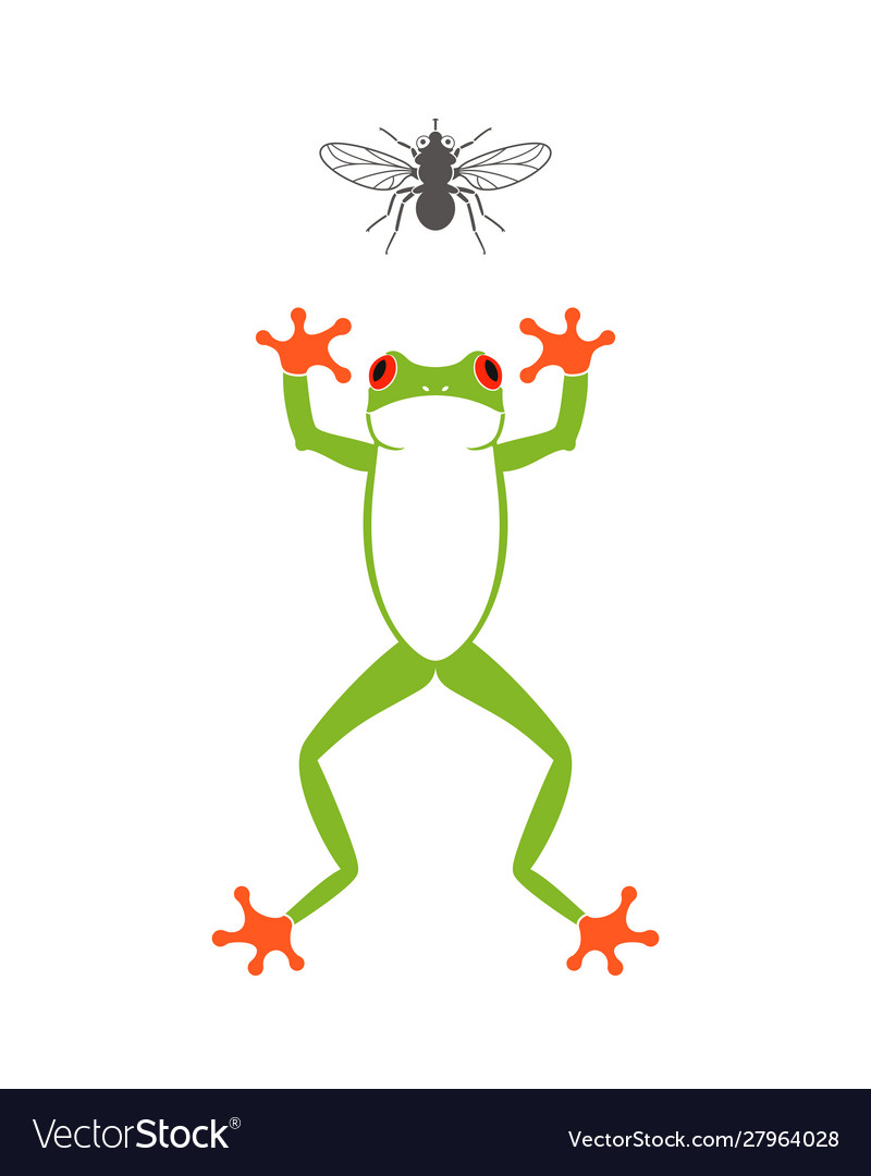 Frog Royalty Free Vector Image - VectorStock