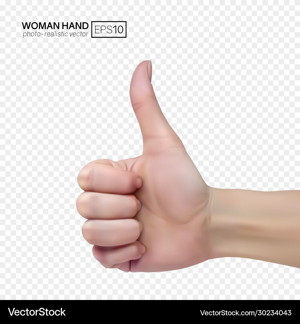 Female hand on a transparent background shows Vector Image
