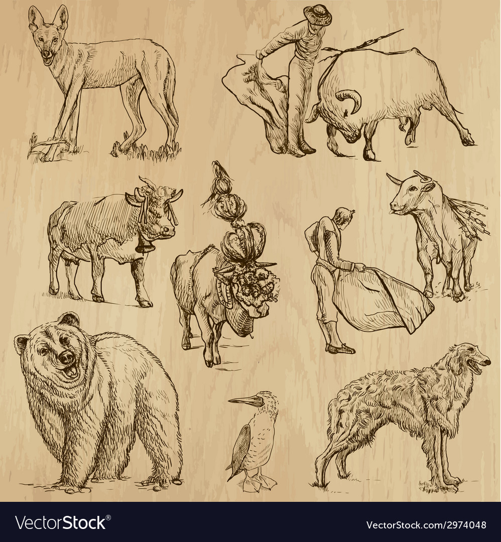 Animals Royalty Free Vector Image - VectorStock