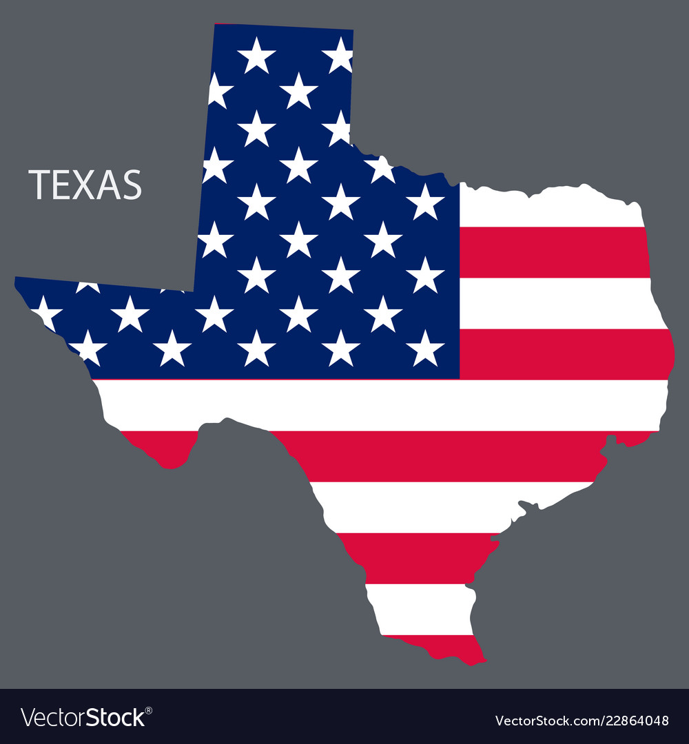 Texas state of america with map flag print on map Vector Image