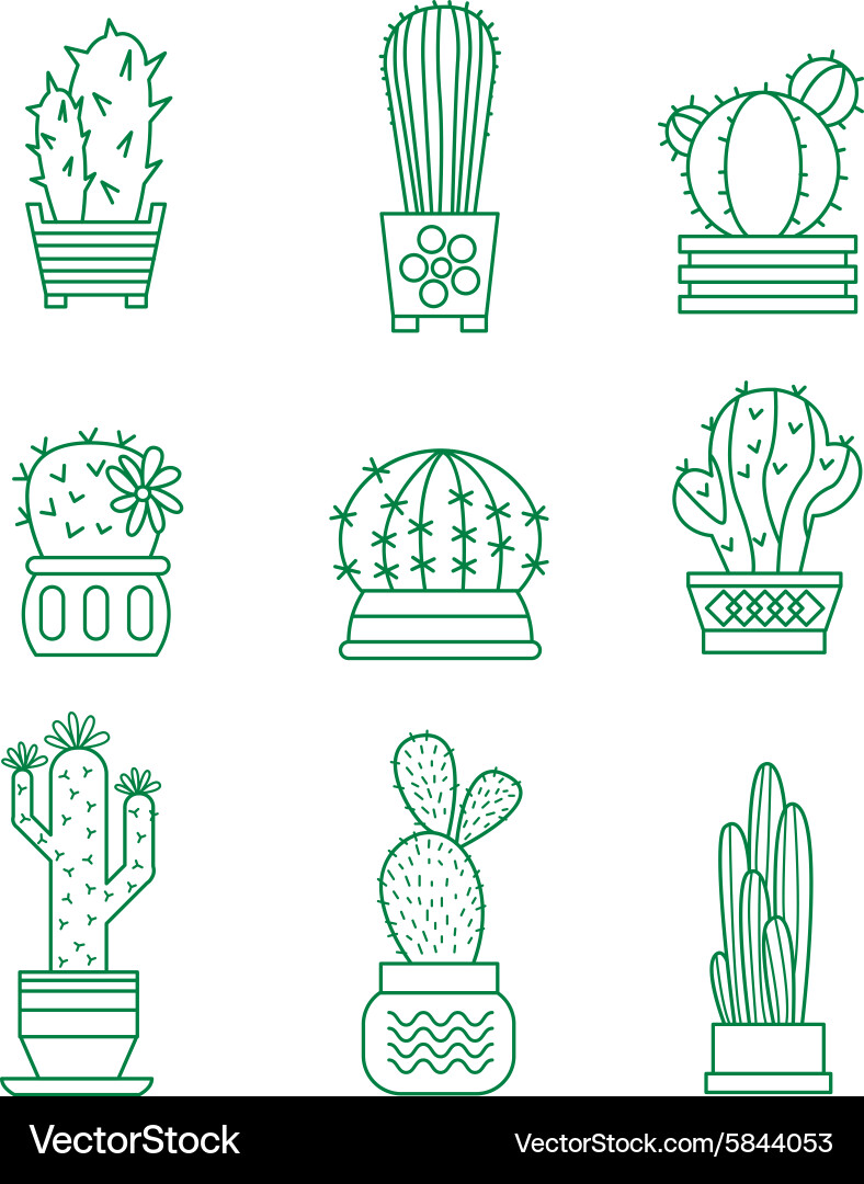 Set of cactus icons Royalty Free Vector Image - VectorStock