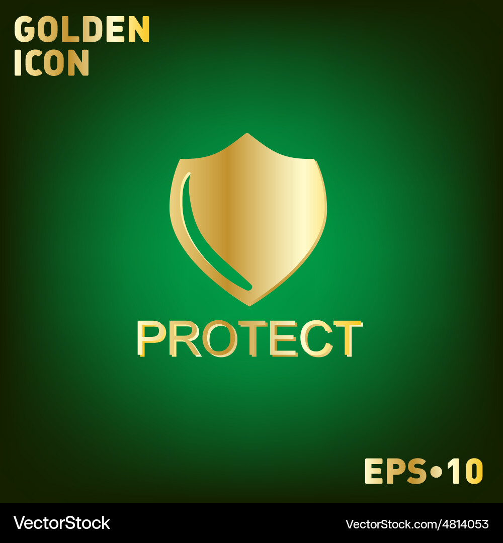 Shield a symbol of protection Royalty Free Vector Image