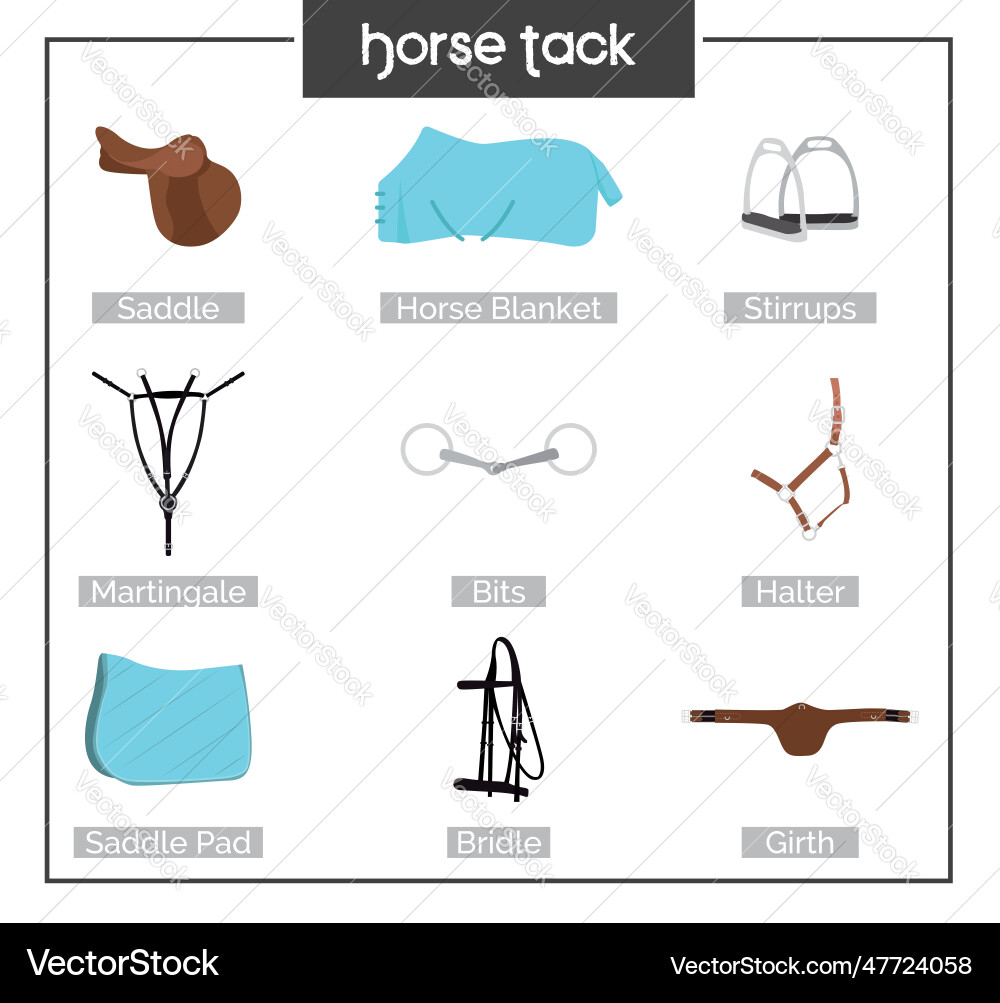 Horse harness equipment Royalty Free Vector Image