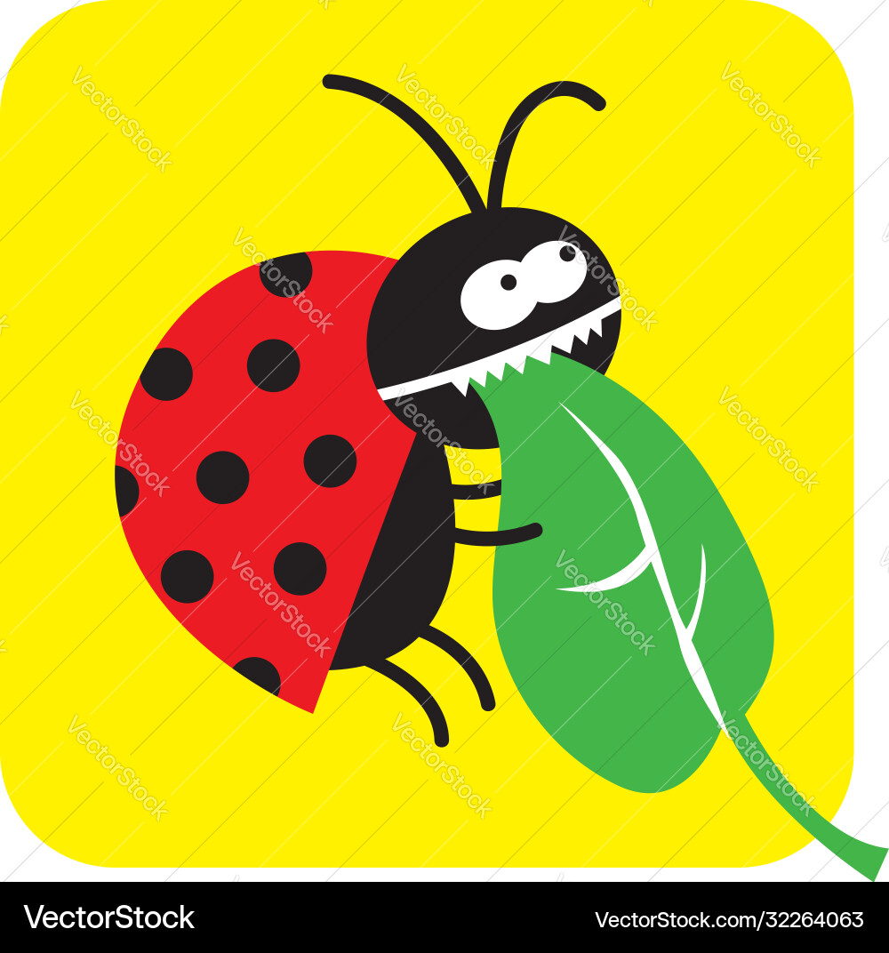 Hungry beetle eats a green leaf Royalty Free Vector Image