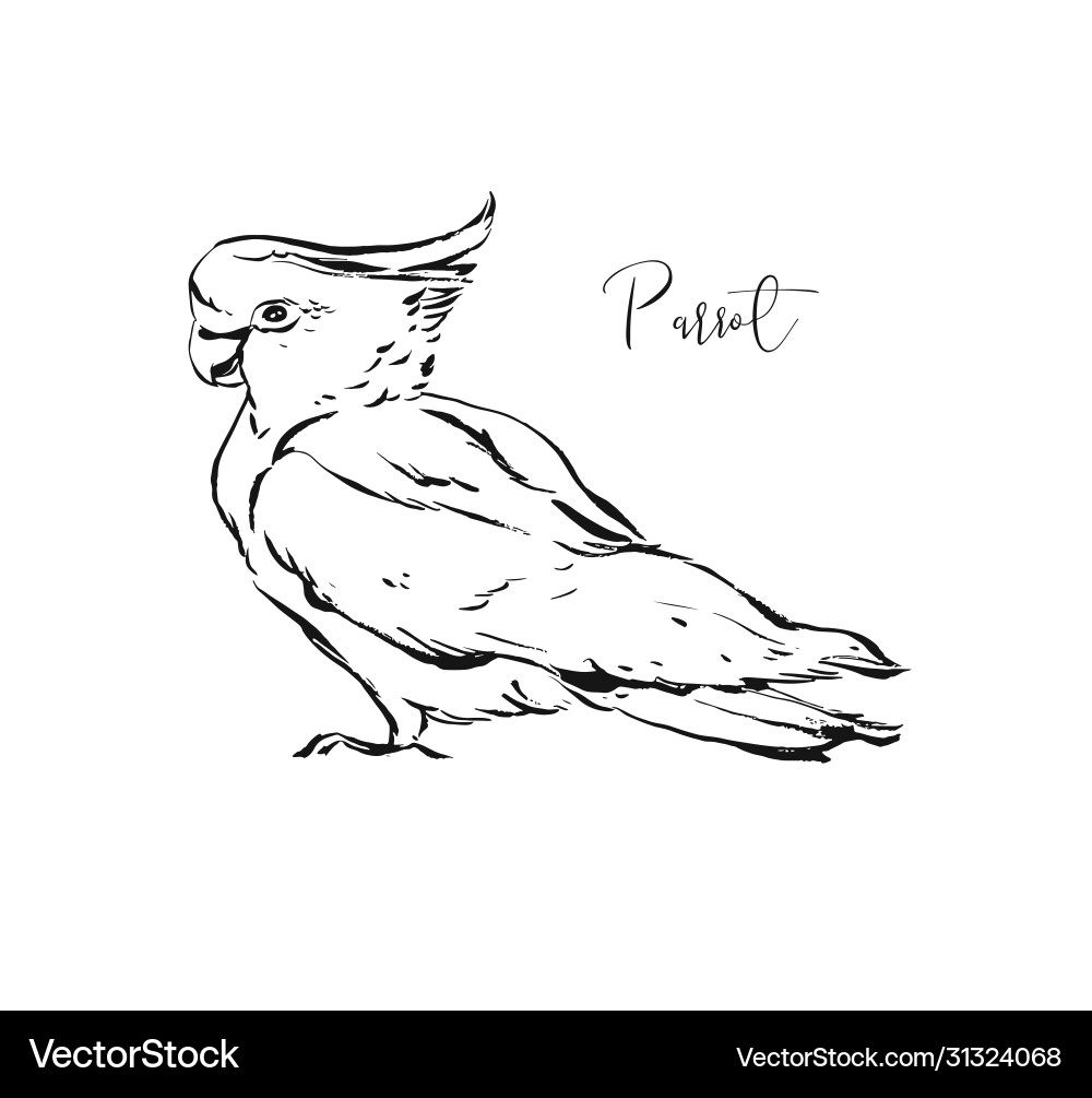 Hand drawn abstract artistic ink textured Vector Image