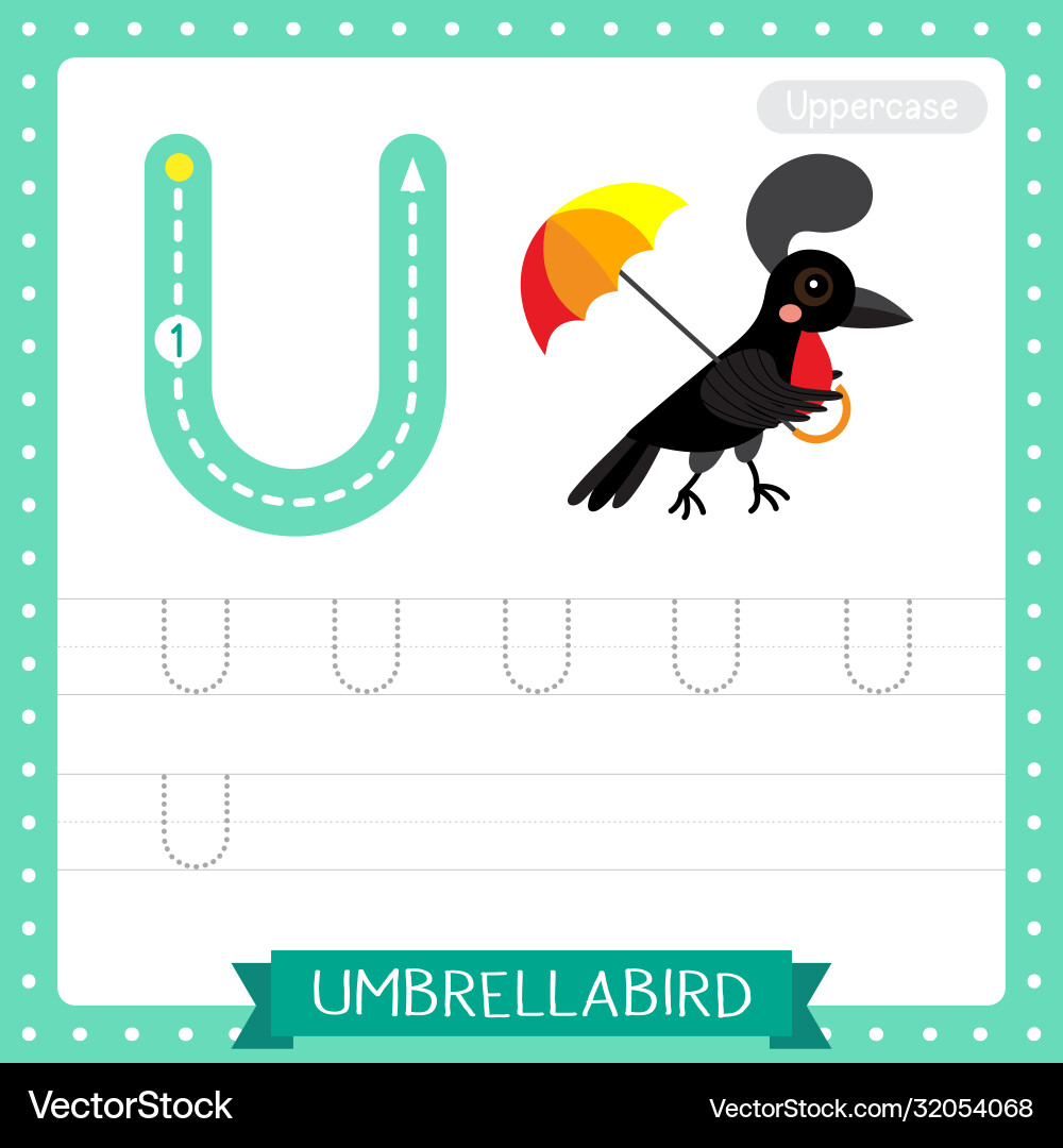 Letter u uppercase tracing practice worksheet of Vector Image