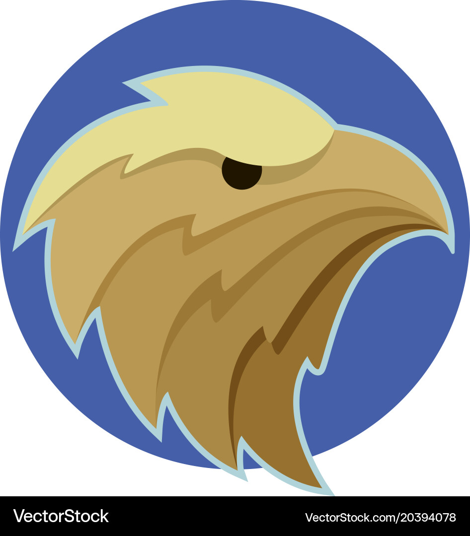 Bald eagle or hawk head Royalty Free Vector Image