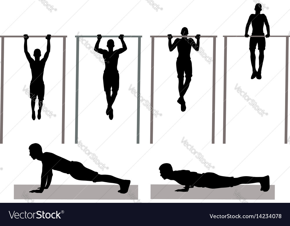 Physical exercise Royalty Free Vector Image - VectorStock