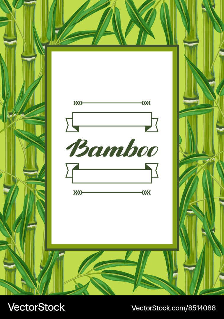 Frame with bamboo plants and leaves design Vector Image