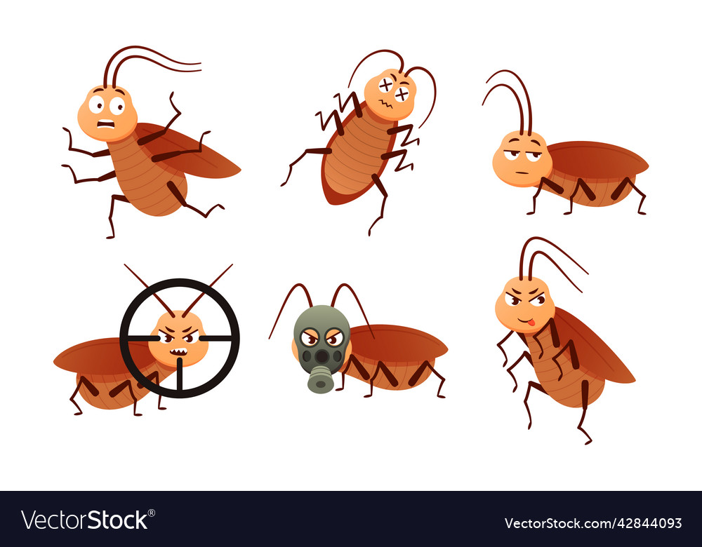 Cockroach character roach insects bugs control Vector Image