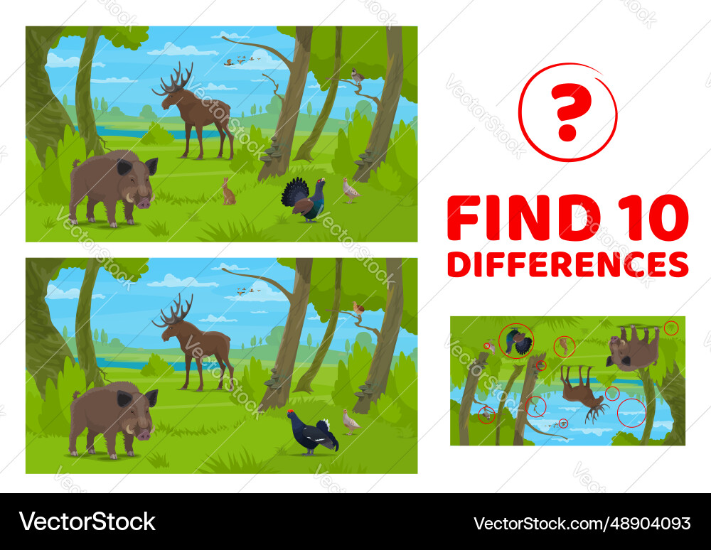 Find ten differences cartoon forest animals game Vector Image