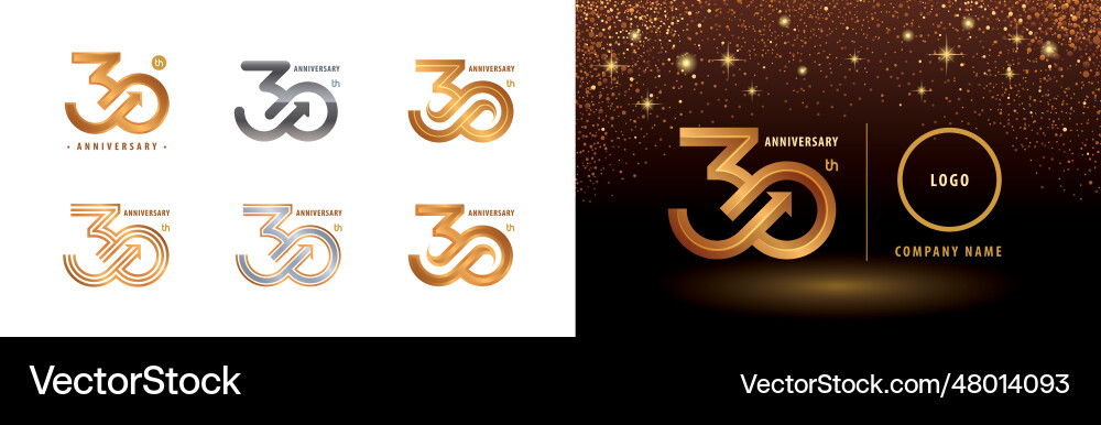 Set of 30th anniversary logotype design thirty Vector Image