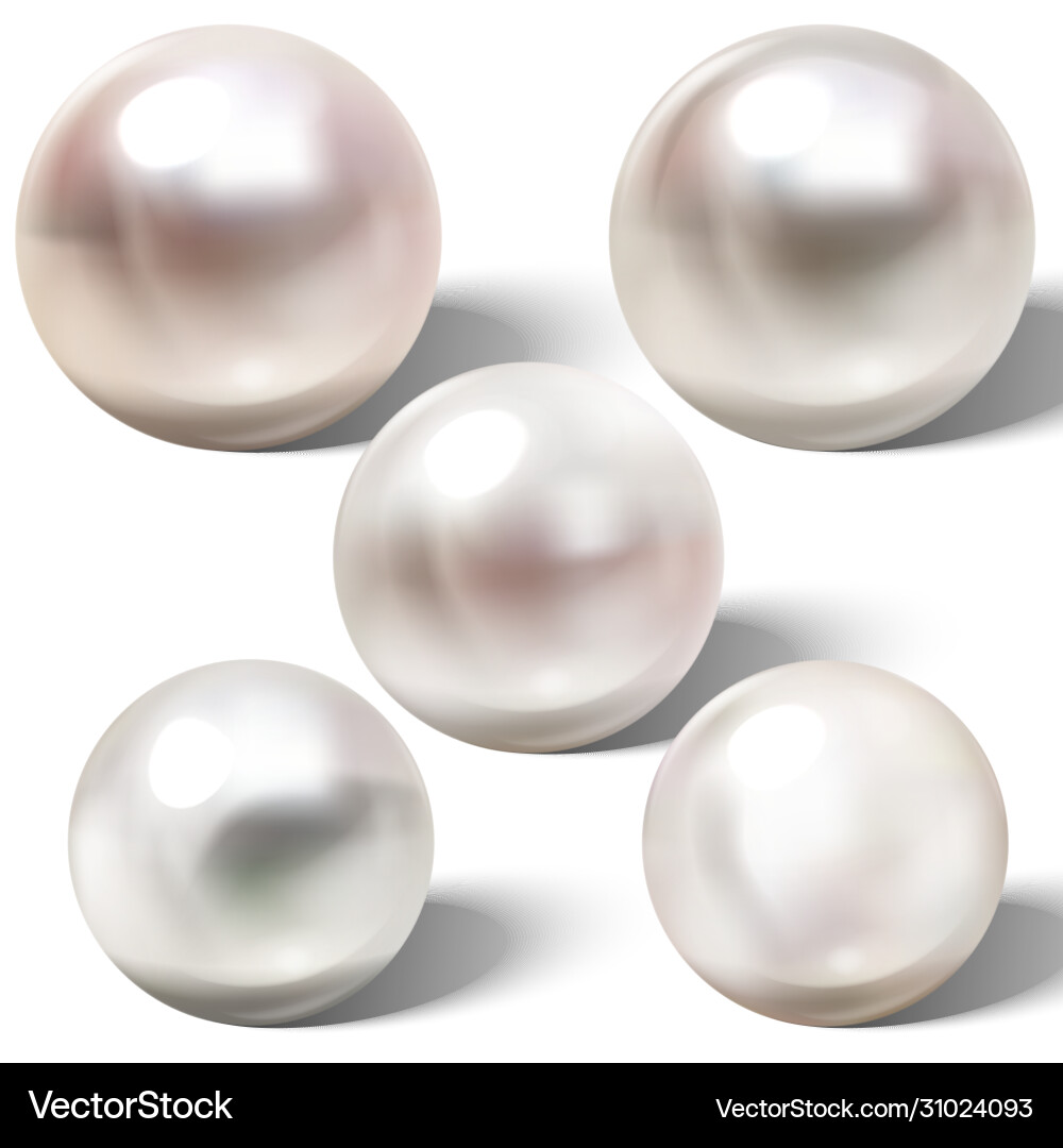 Shiny natural sea pearl with light effects Vector Image