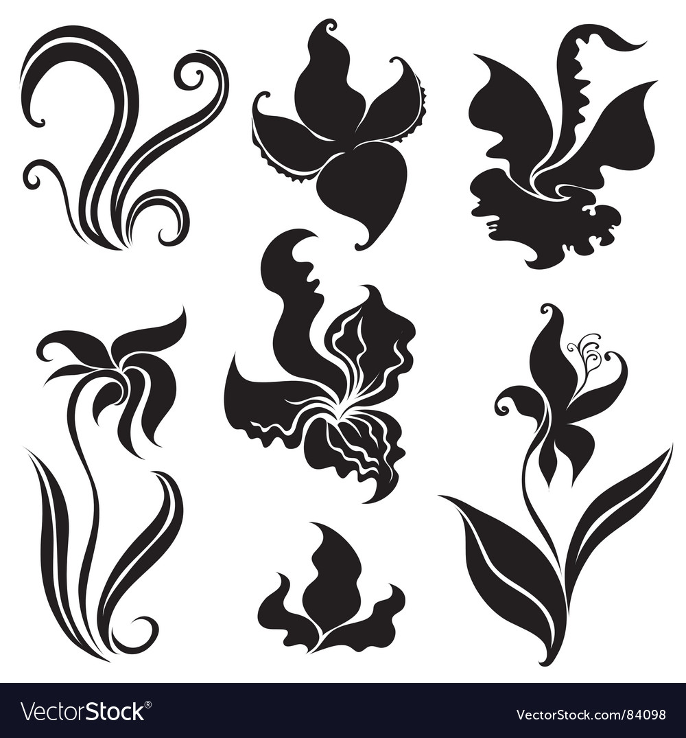 Floral design elements Royalty Free Vector Image