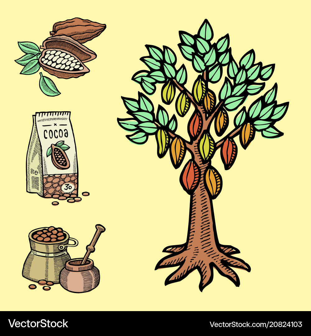 Cocoa products hand drawn sketch doodle Royalty Free Vector