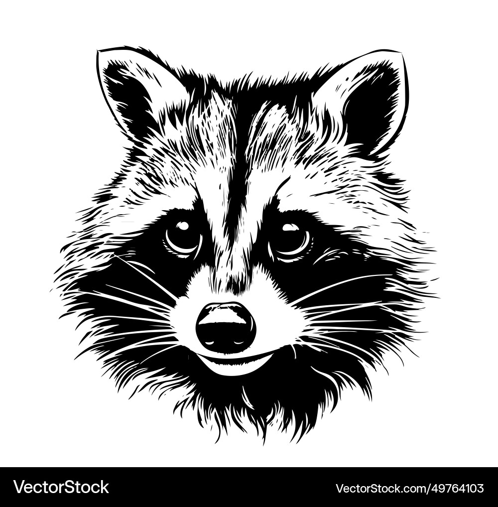 Cute hand drawing raccoon head sketch Royalty Free Vector