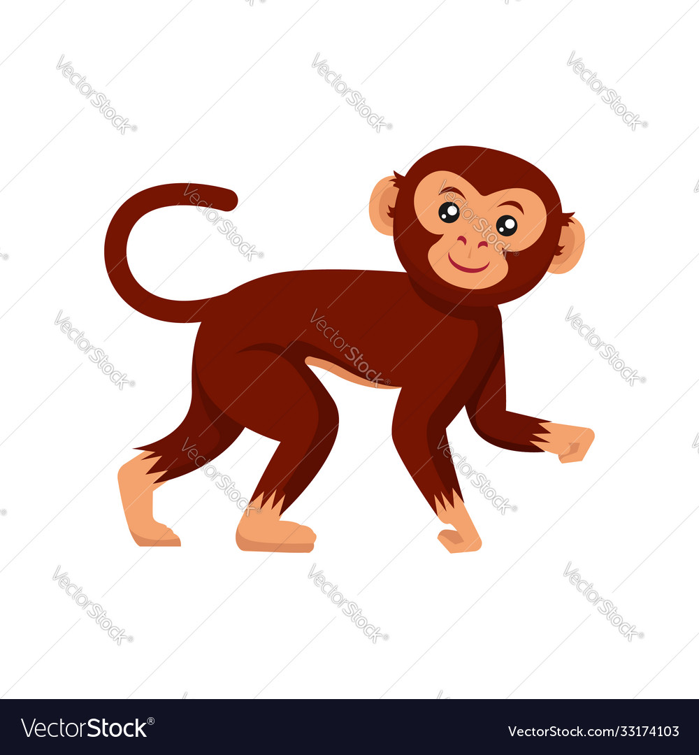 Monkey Royalty Free Vector Image - VectorStock