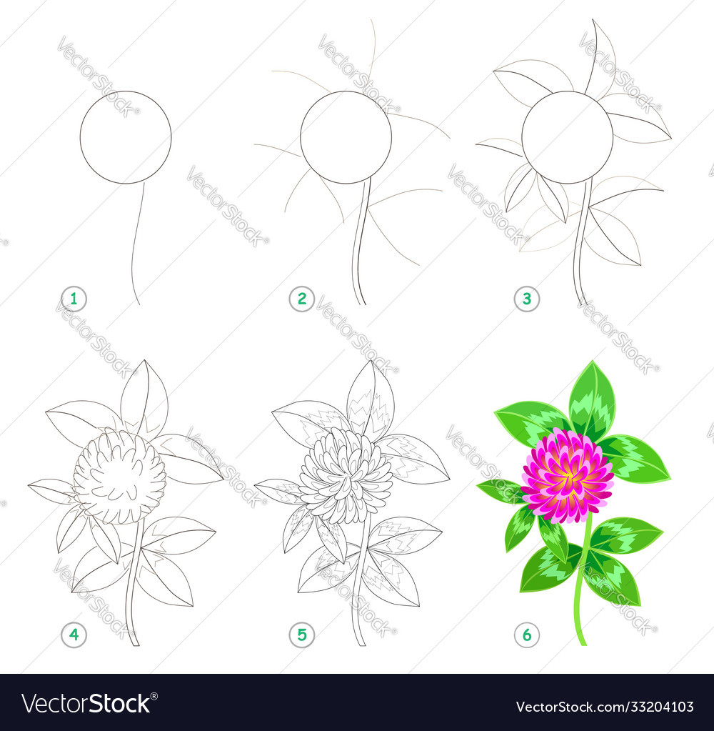 Page shows how to learn step step to draw Vector Image