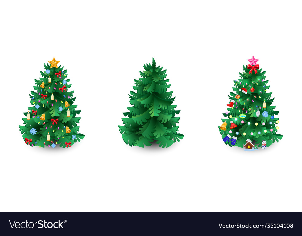 Set christmas evergreen trees spruce pine Vector Image