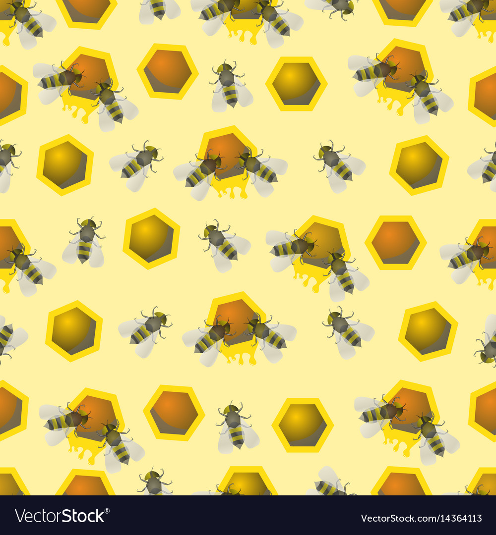 Bee pattern seamless honeycomb Royalty Free Vector Image