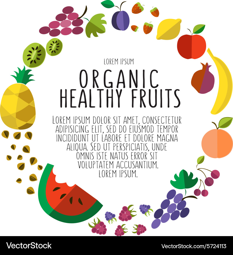 Colorful of fruit template in flat Royalty Free Vector Image