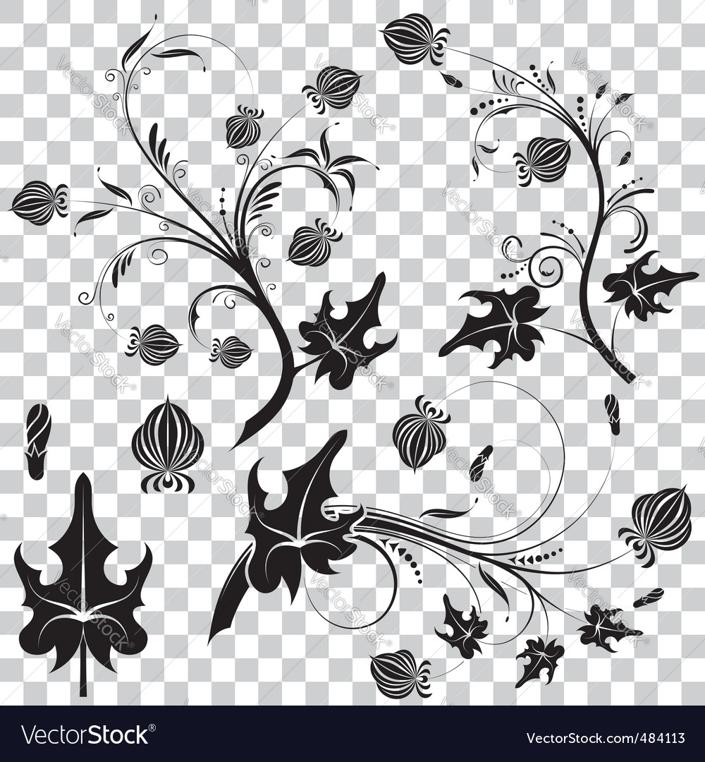Floral element Royalty Free Vector Image - VectorStock