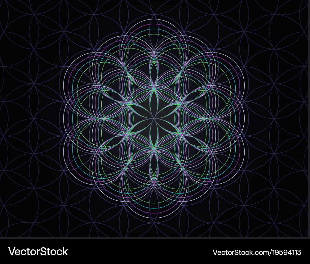 Flower of life Royalty Free Vector Image - VectorStock