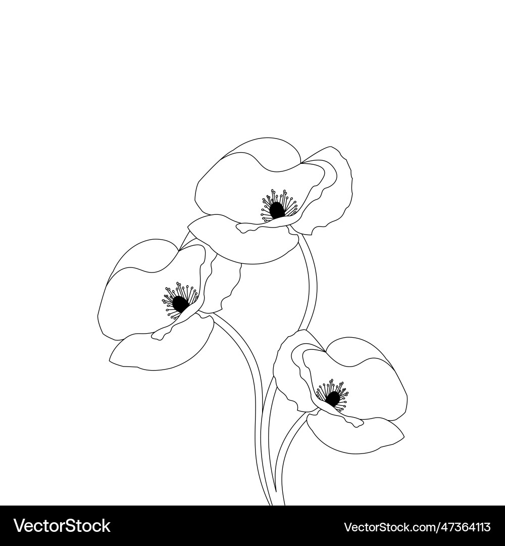 Poppy flower coloring page Royalty Free Vector Image
