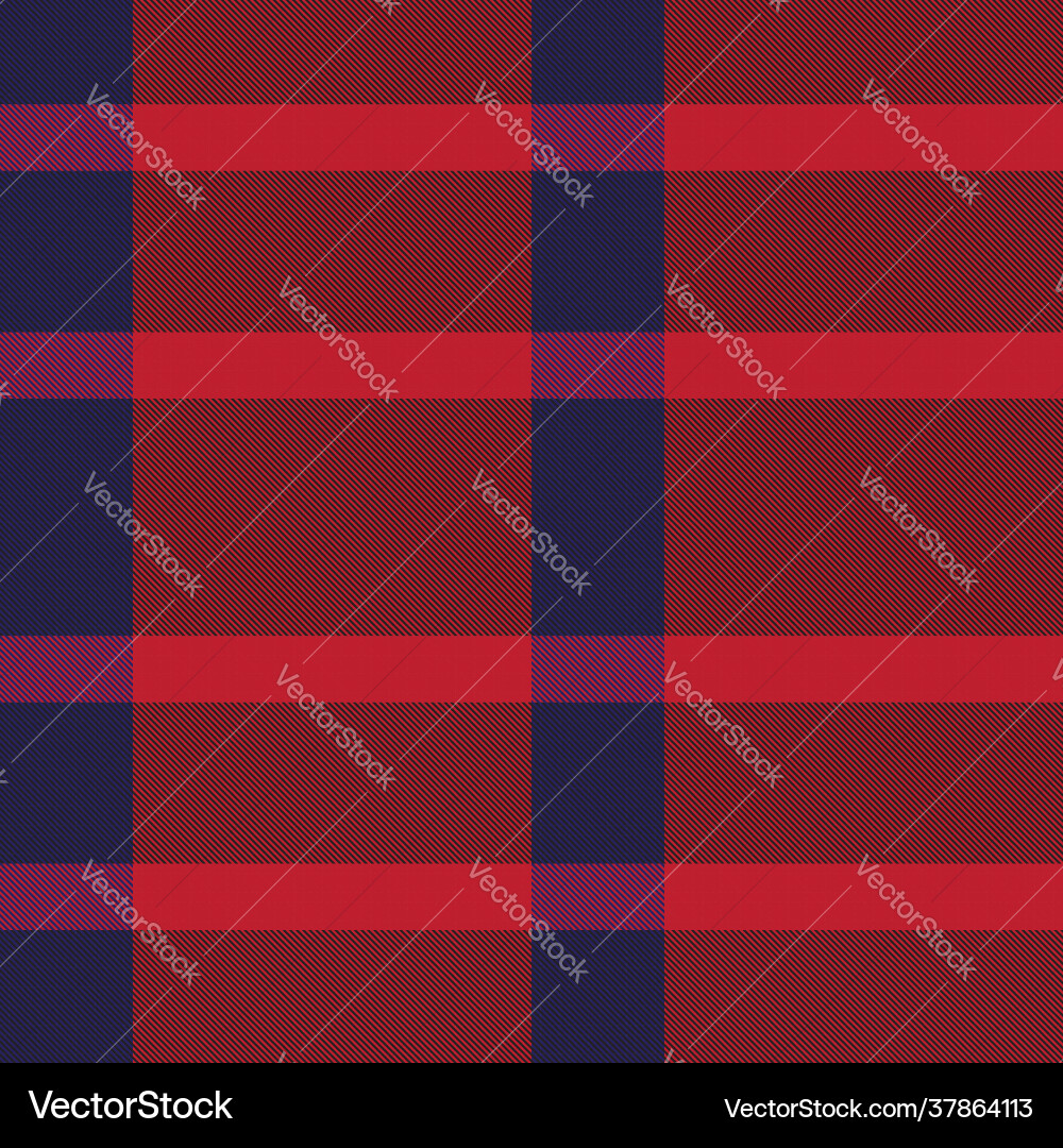Red asymmetric plaid textured seamless pattern Vector Image