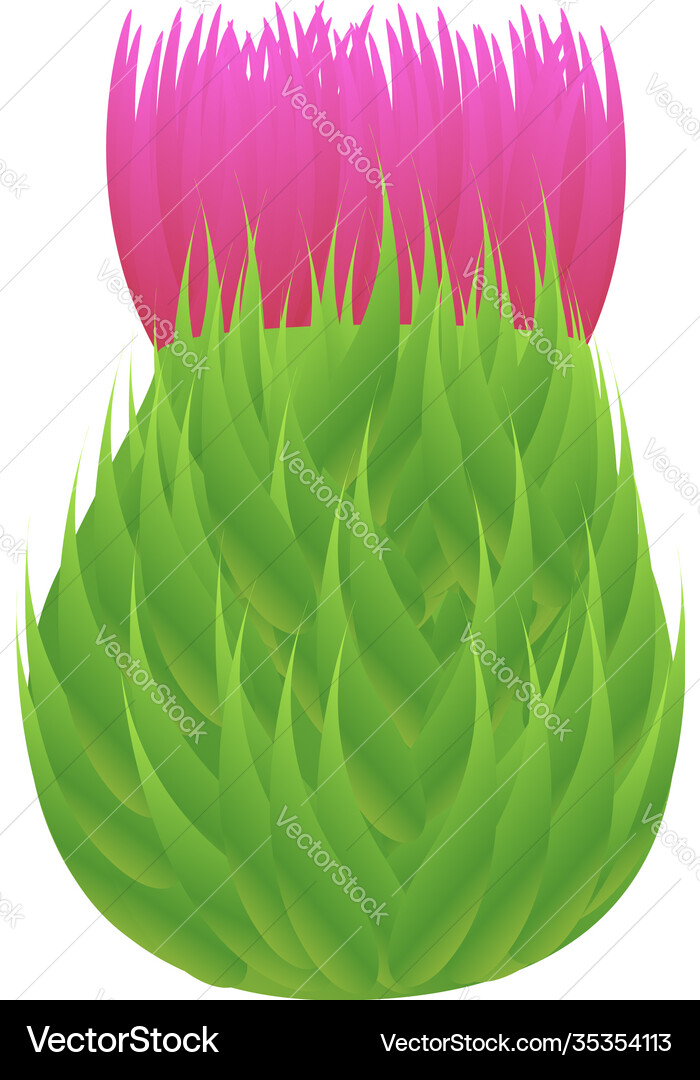 Thistle flower icon cartoon style Royalty Free Vector Image