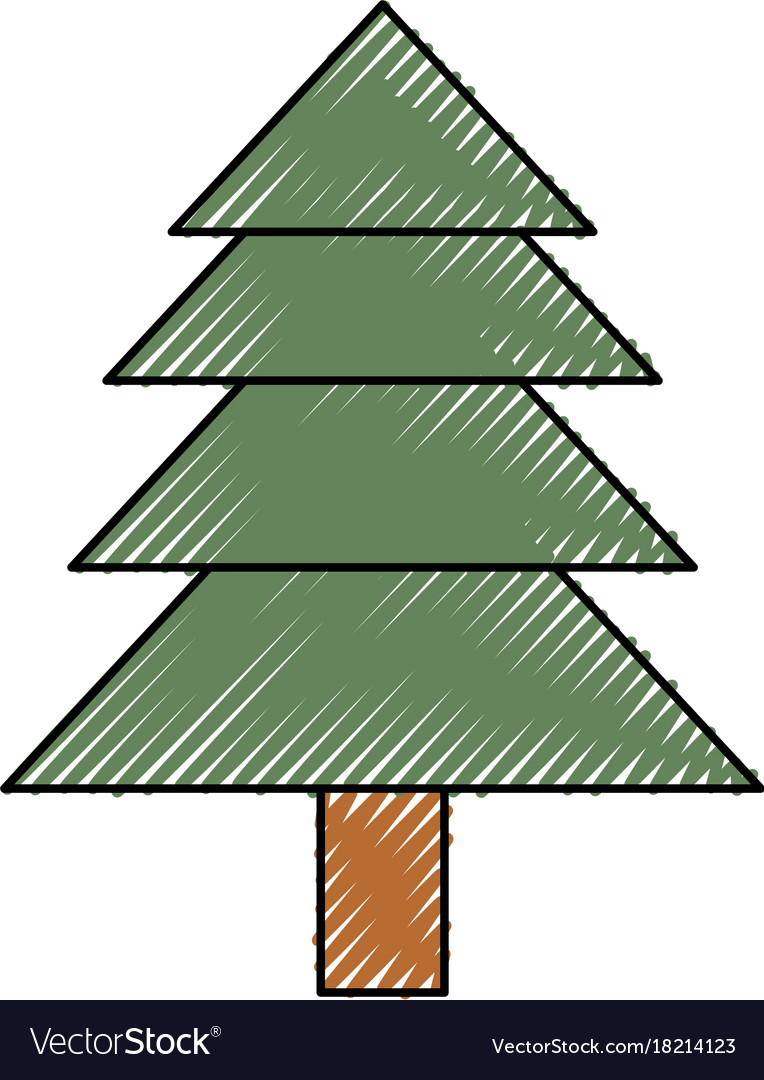 Pine tree icon Royalty Free Vector Image - VectorStock
