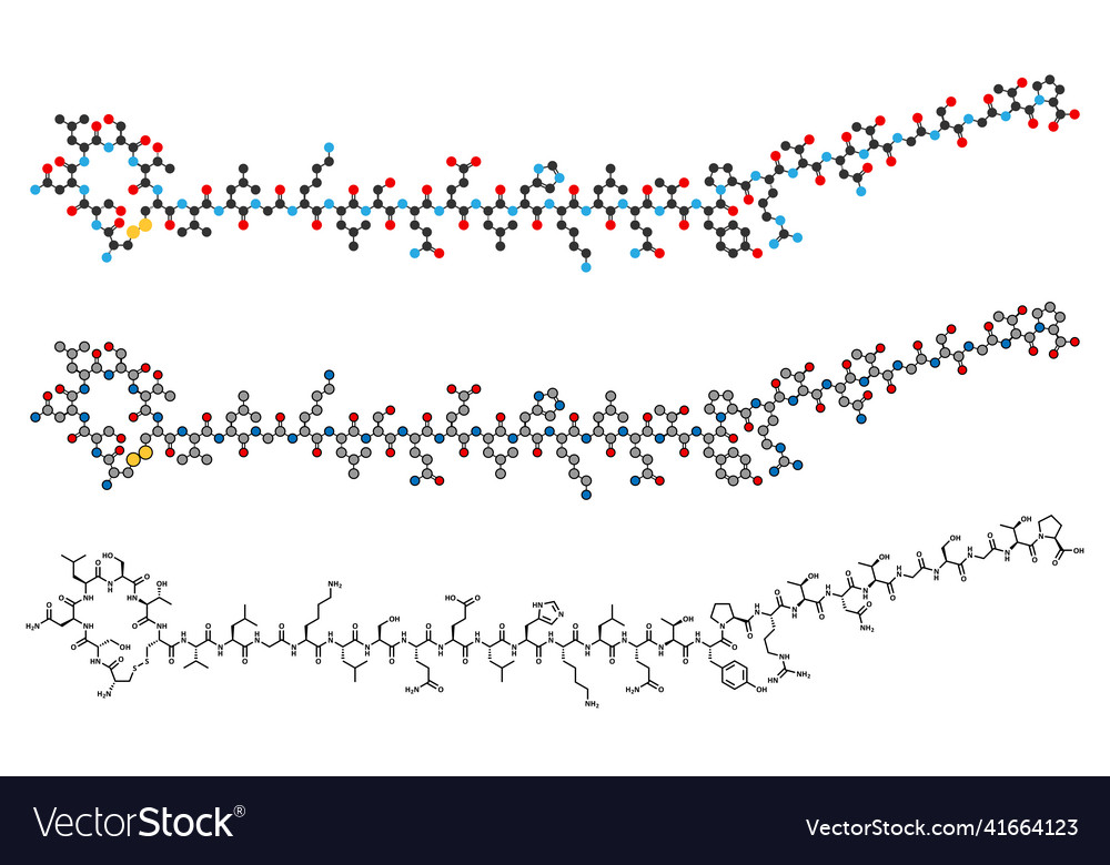 Salmon calcitonin peptide hormone drug molecule Vector Image Salmon calcitonin peptide hormone drug molecule Vector Image