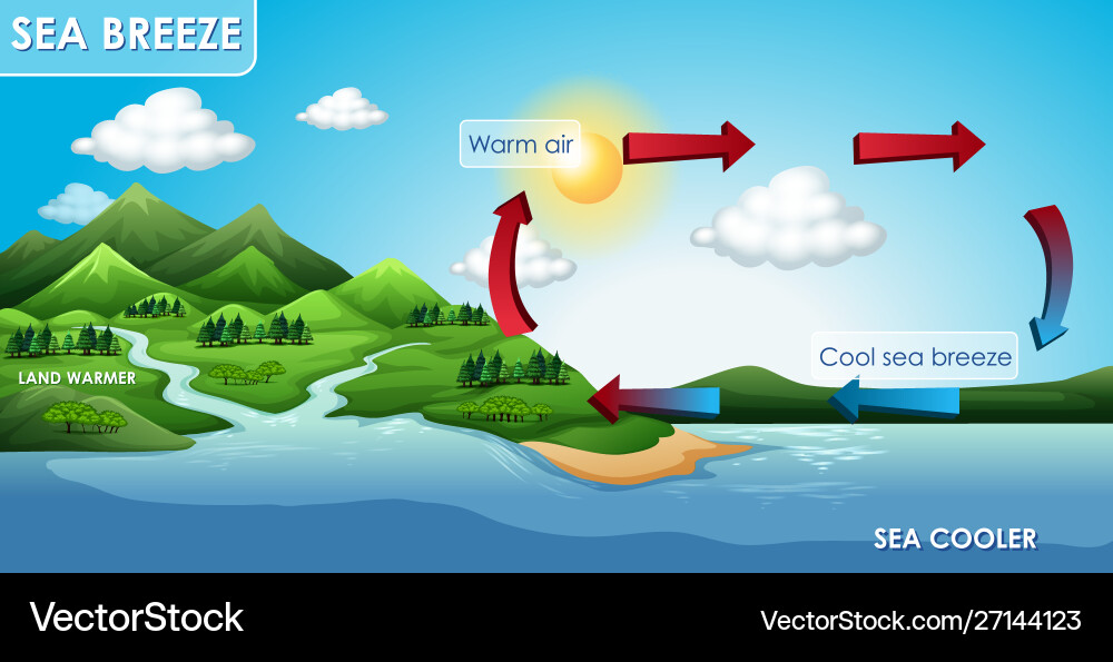 Science poster design for sea breeze Royalty Free Vector