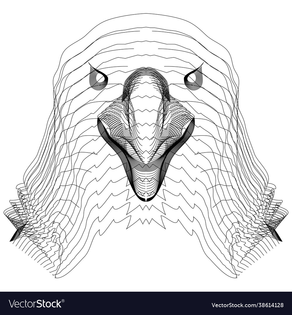 Eagle Royalty Free Vector Image - VectorStock