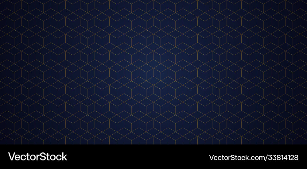 Luxury gold line pattern design dark blue color Vector Image
