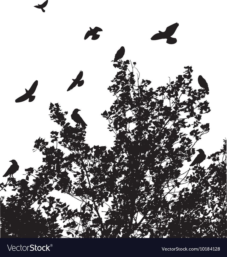 Tree birds Royalty Free Vector Image - VectorStock