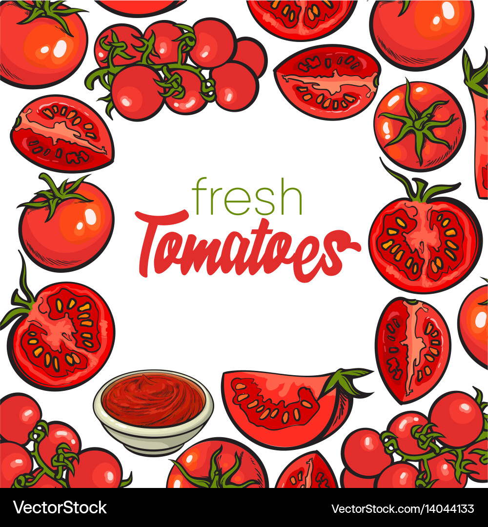 Banner framed with red tomatoes with square place Vector Image
