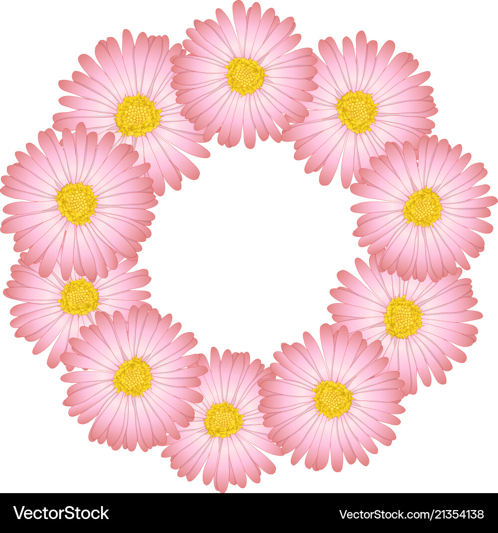 Pink aster daisy flower wreath Royalty Free Vector Image