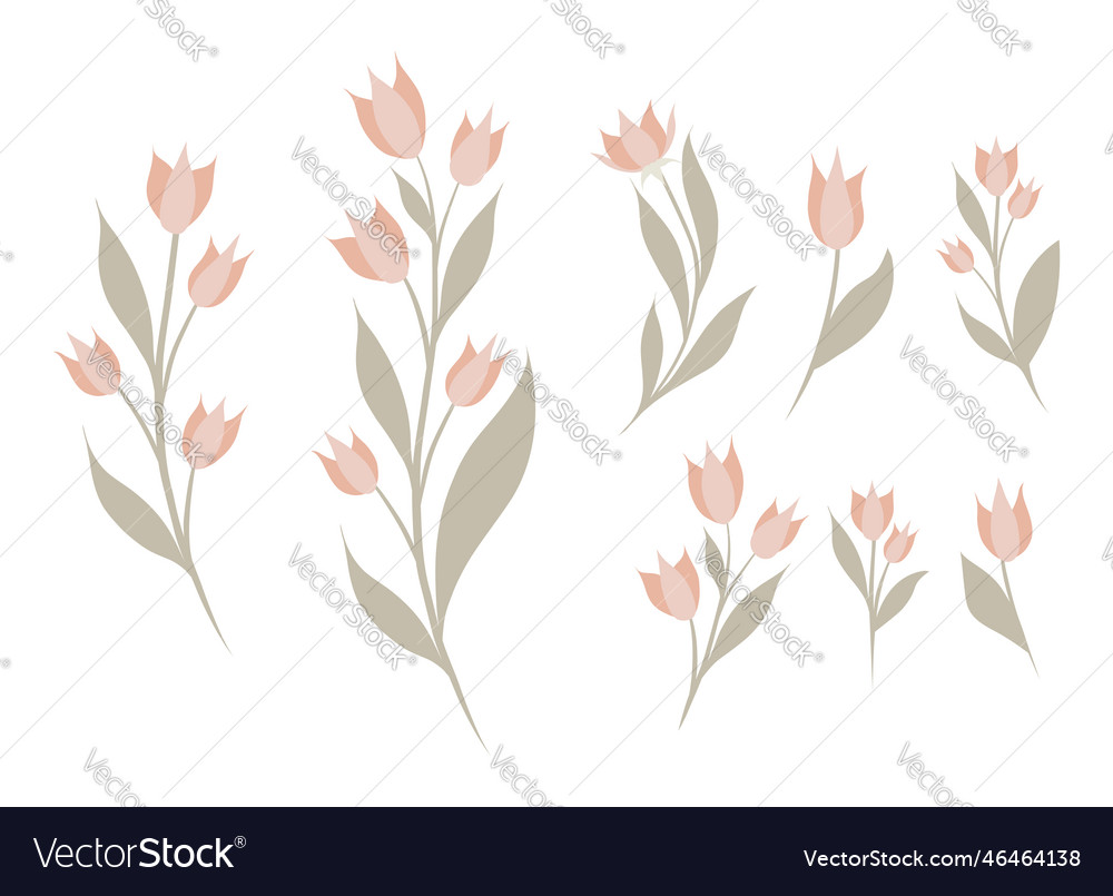 Set of floral clipart collection pink flowers Vector Image