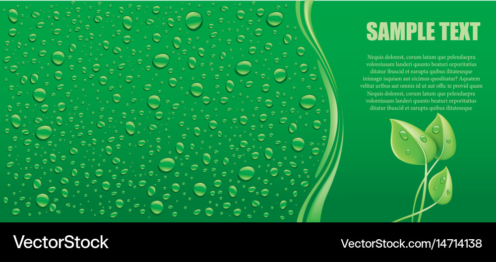 Water drops green background with place for text Vector Image