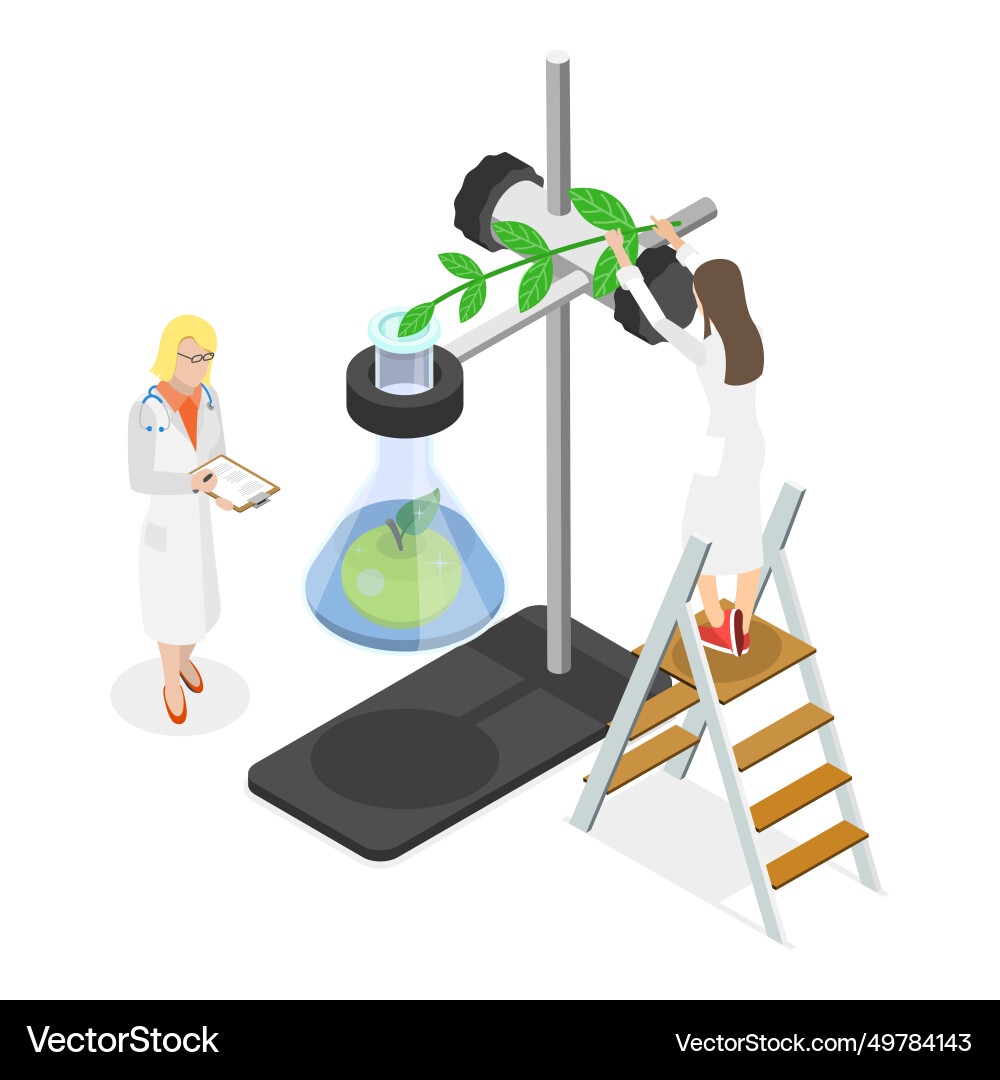 3d isometric flat of female Royalty Free Vector Image
