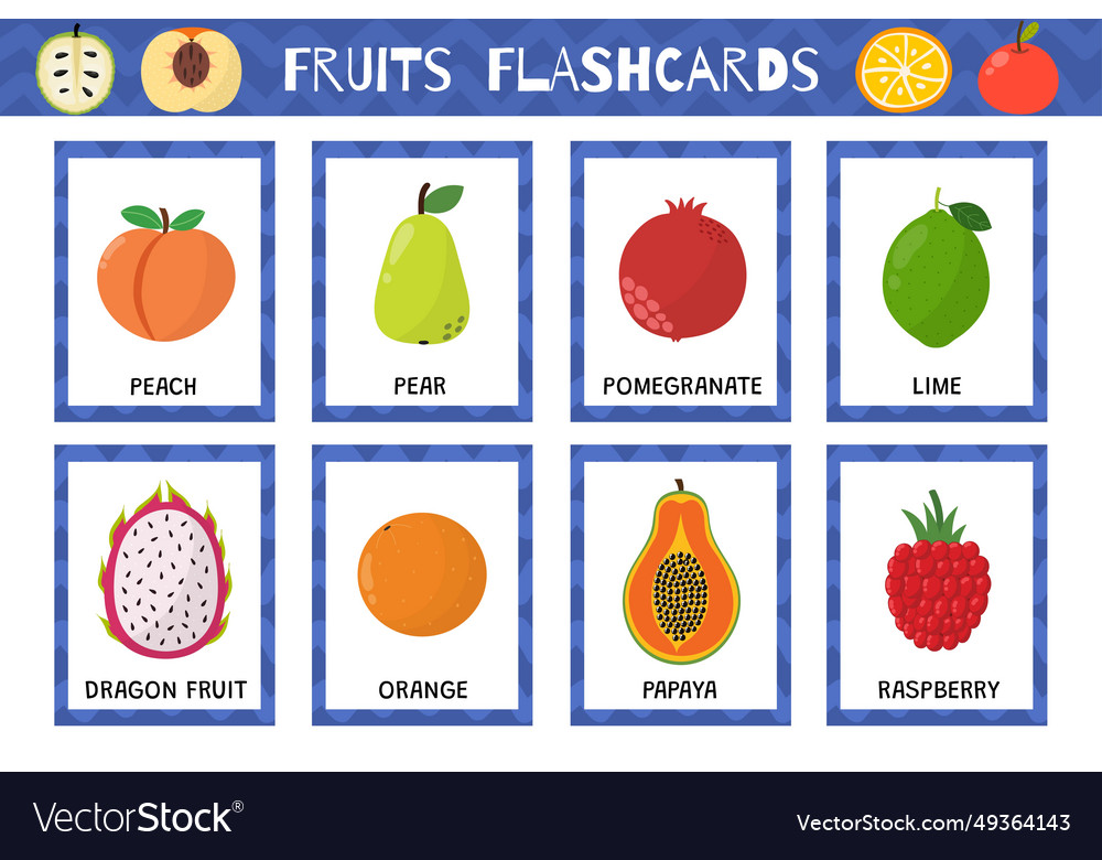Fruits flashcards set flash cards collection Vector Image