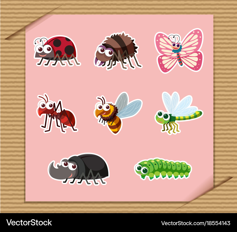 Sticker set of many types insects Royalty Free Vector Image