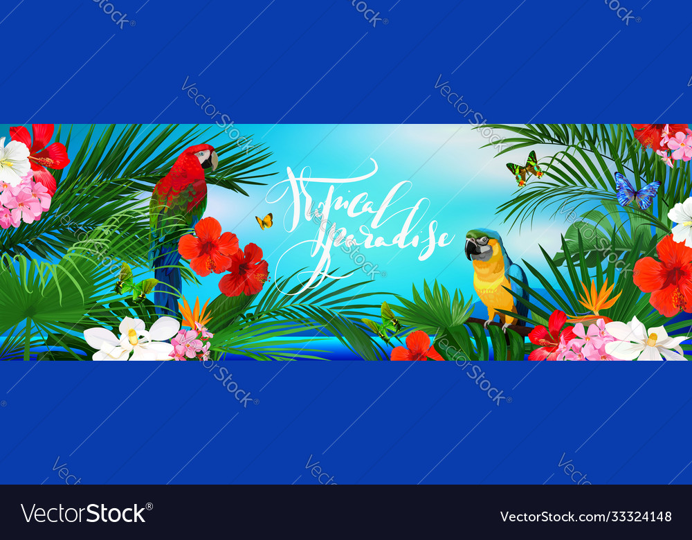 Beautiful tropical banner with flowersbutterfly Vector Image