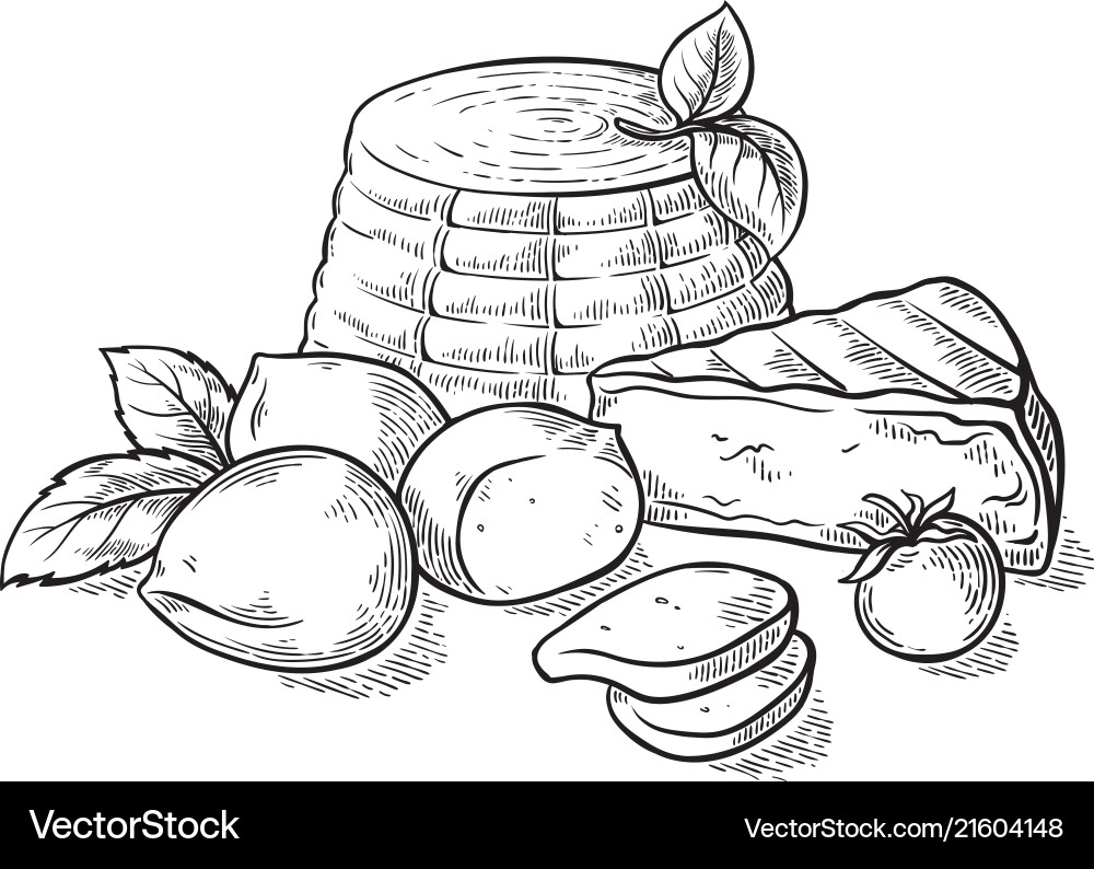 Cheese ricotta mozzarella hand drawn set engraving